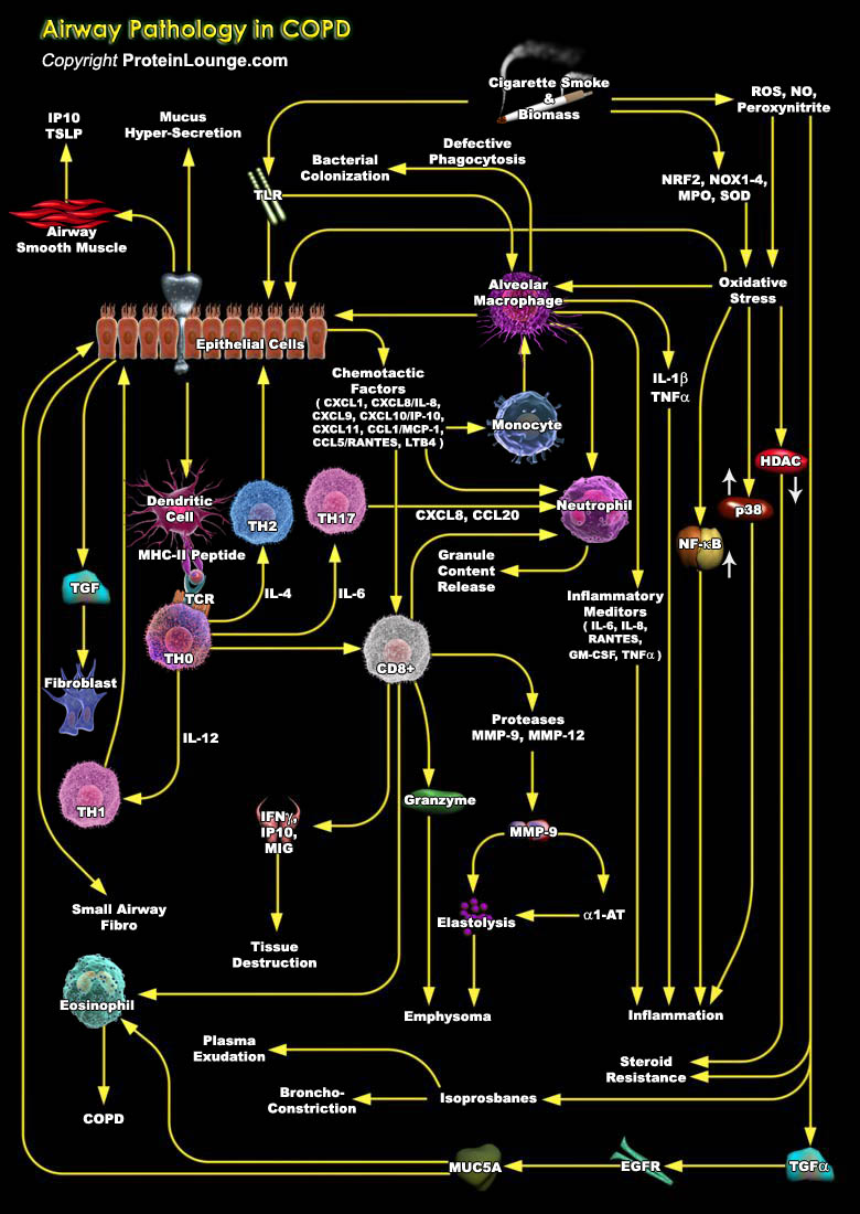 Biological Databases and Tools