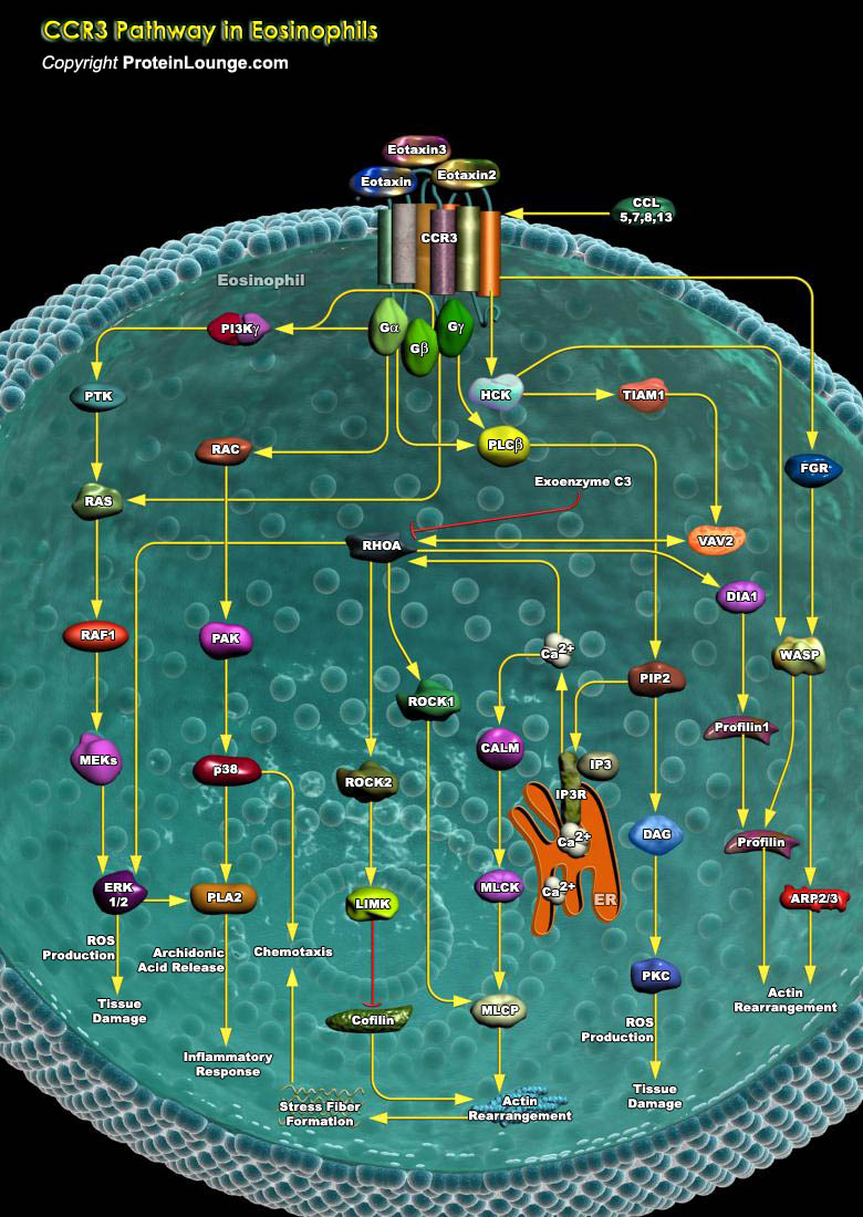 Biological Databases and Tools