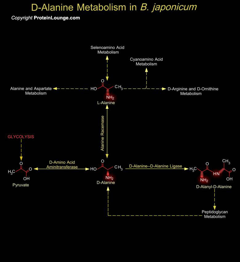 Biological Databases and Tools