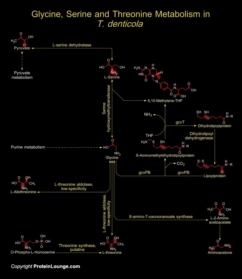 Biological Databases and Tools