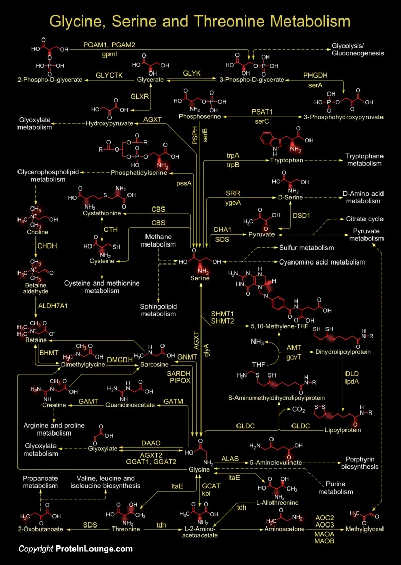 Biological Databases and Tools