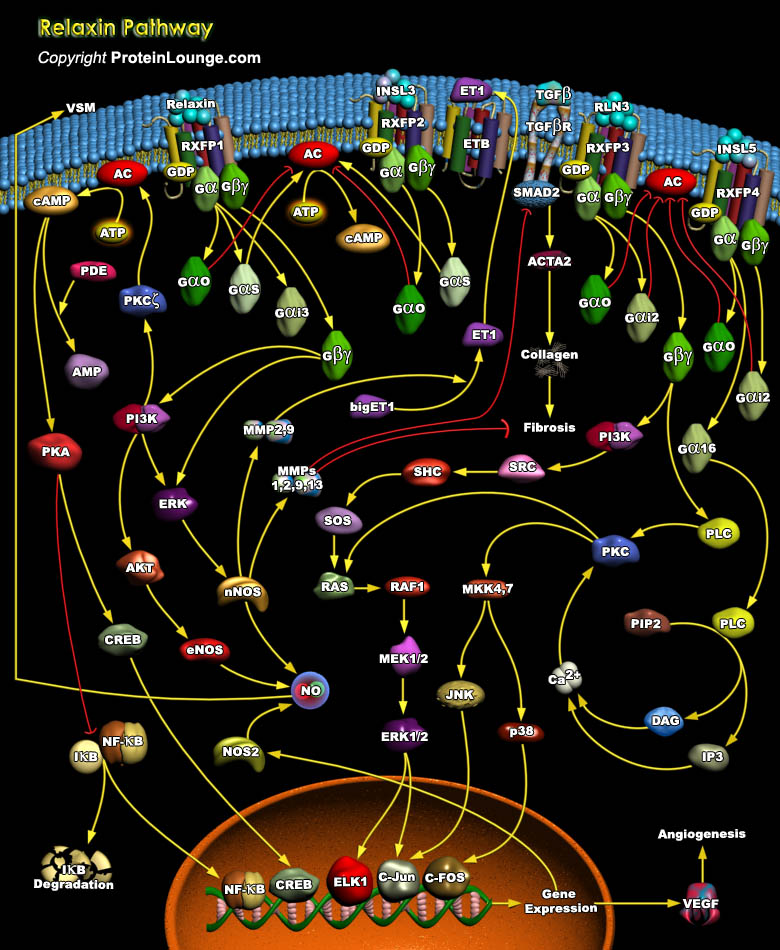 Biological Databases and Tools