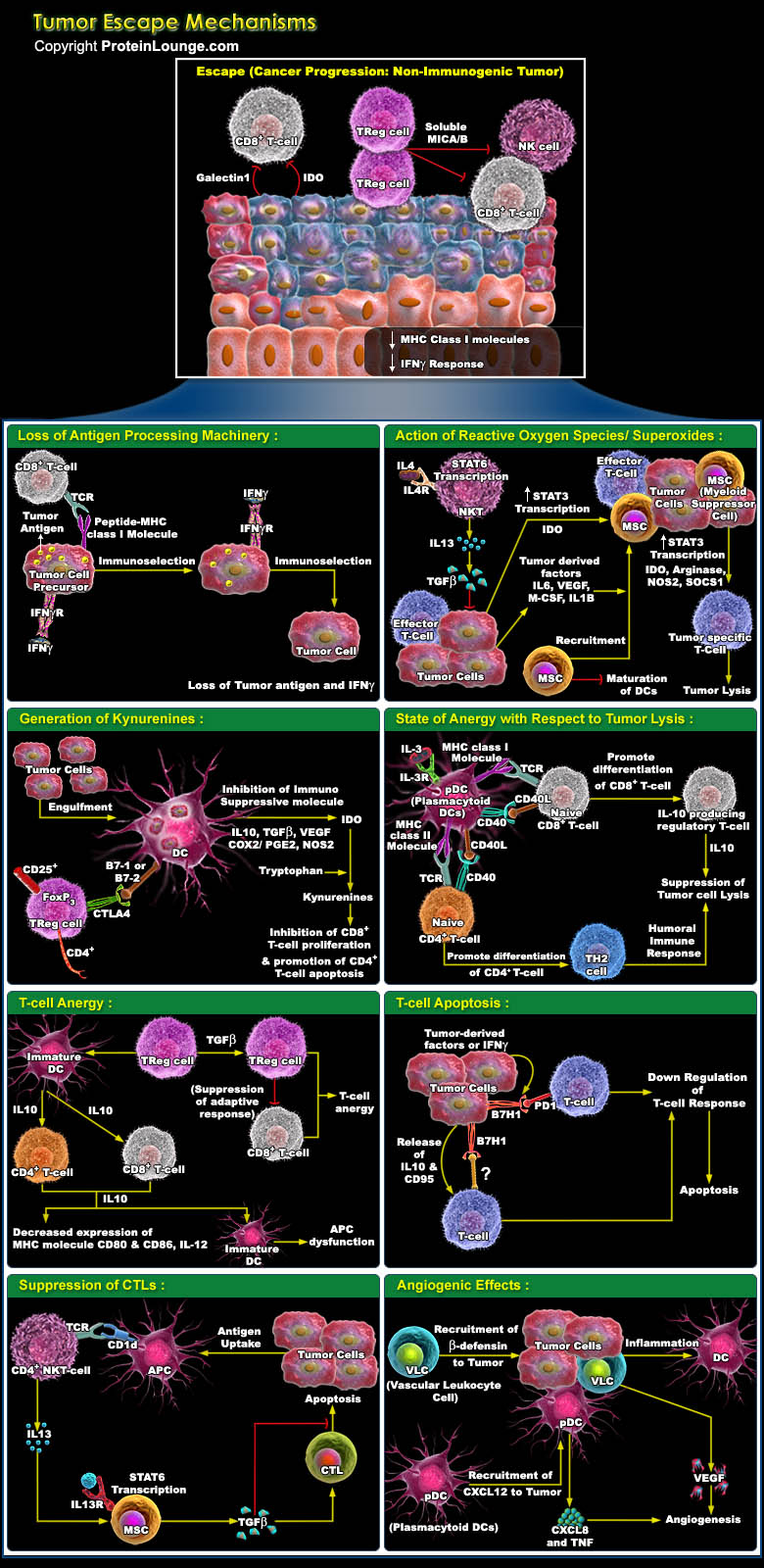 Biological Databases and Tools