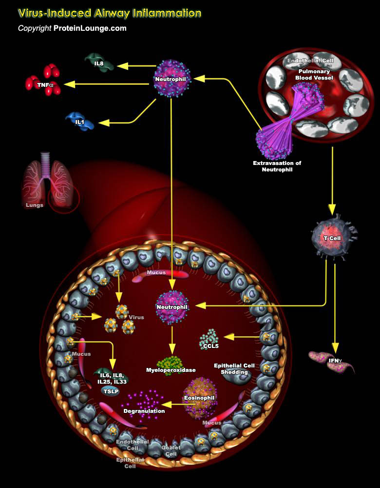 Biological Databases and Tools